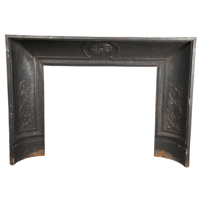 Antique 19th Century Ornate French Cast Iron Fireplace Insert Surround ...