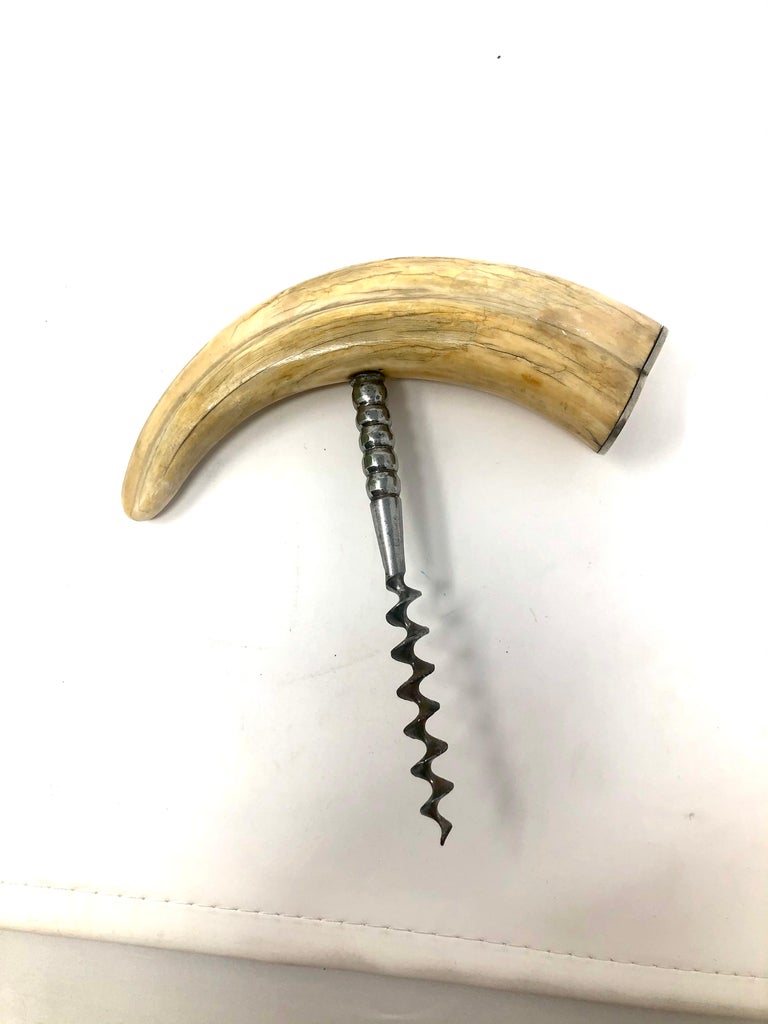 Antique American Sterling Silver Mounted Boar's Tusk and Polished ...