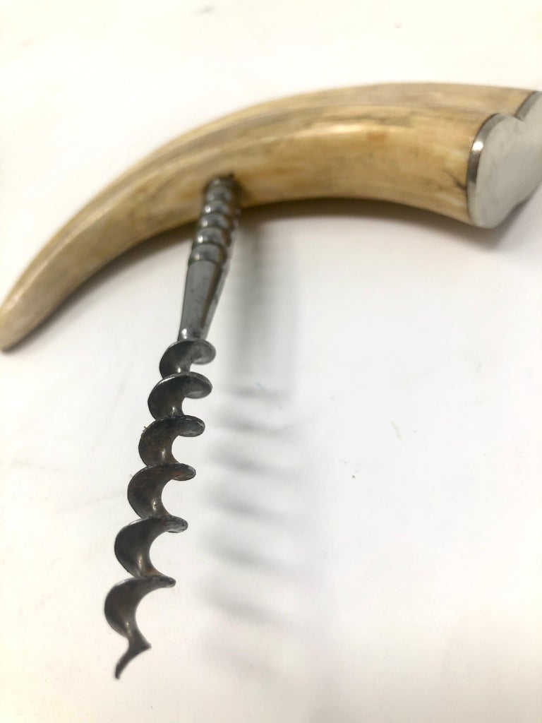 Antique American Sterling Silver Mounted Boar's Tusk and Polished ...