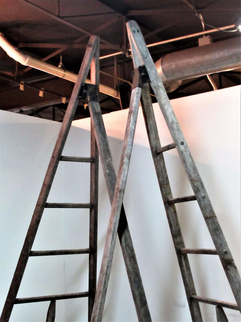 Antique American Wood and Iron A-Frame Peak Top Folding Orchard Ladders ...