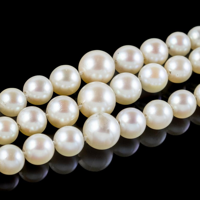 Antique Art Deco Triple Strand Pearl Necklace With 9ct Gold Turquoise ...