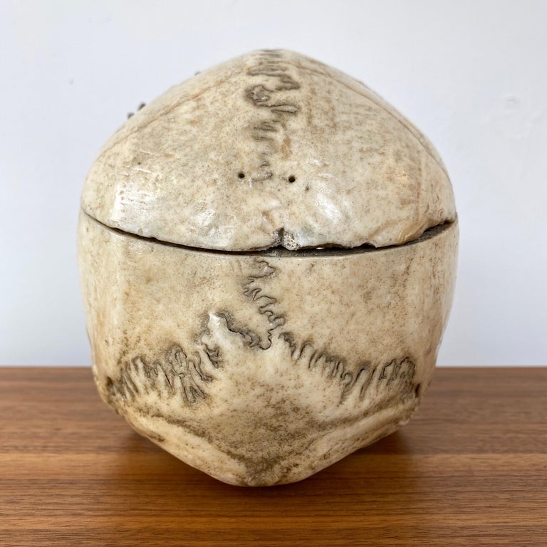 Antique Articulated Human Skull, Medical Teaching Specimen, 1920 at ...