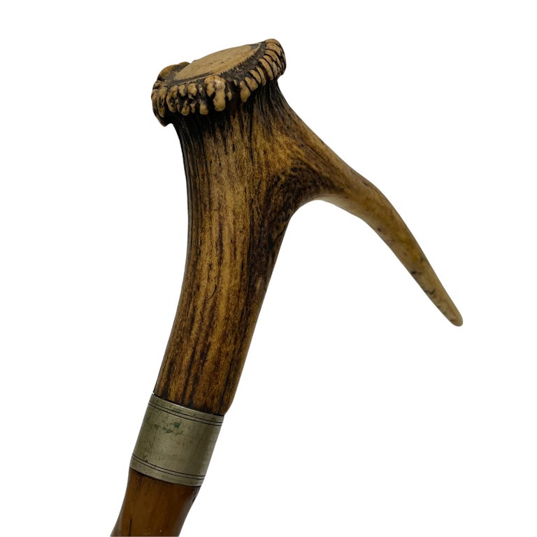 Antique Austrian Hunting Antler Walking Stick, 1900s, Austria Vienna at ...