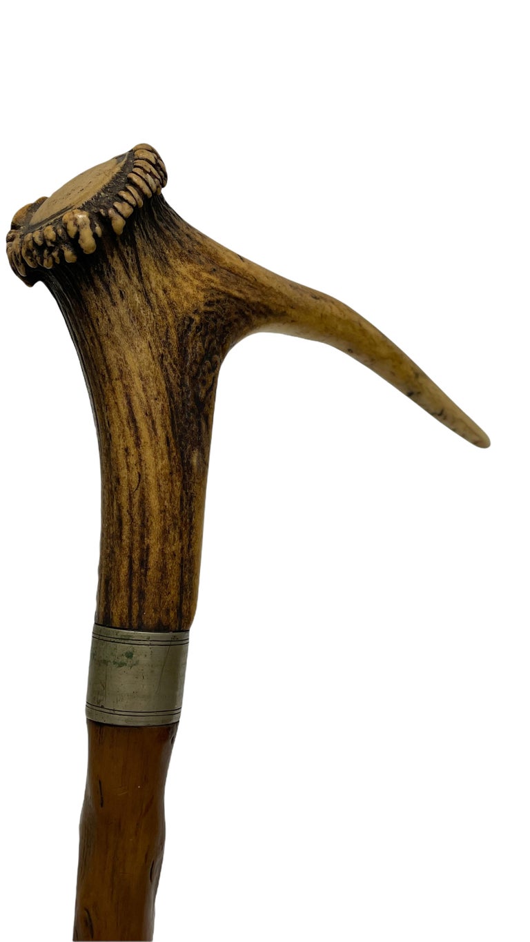 Antique Austrian Hunting Antler Walking Stick, 1900s, Austria Vienna ...
