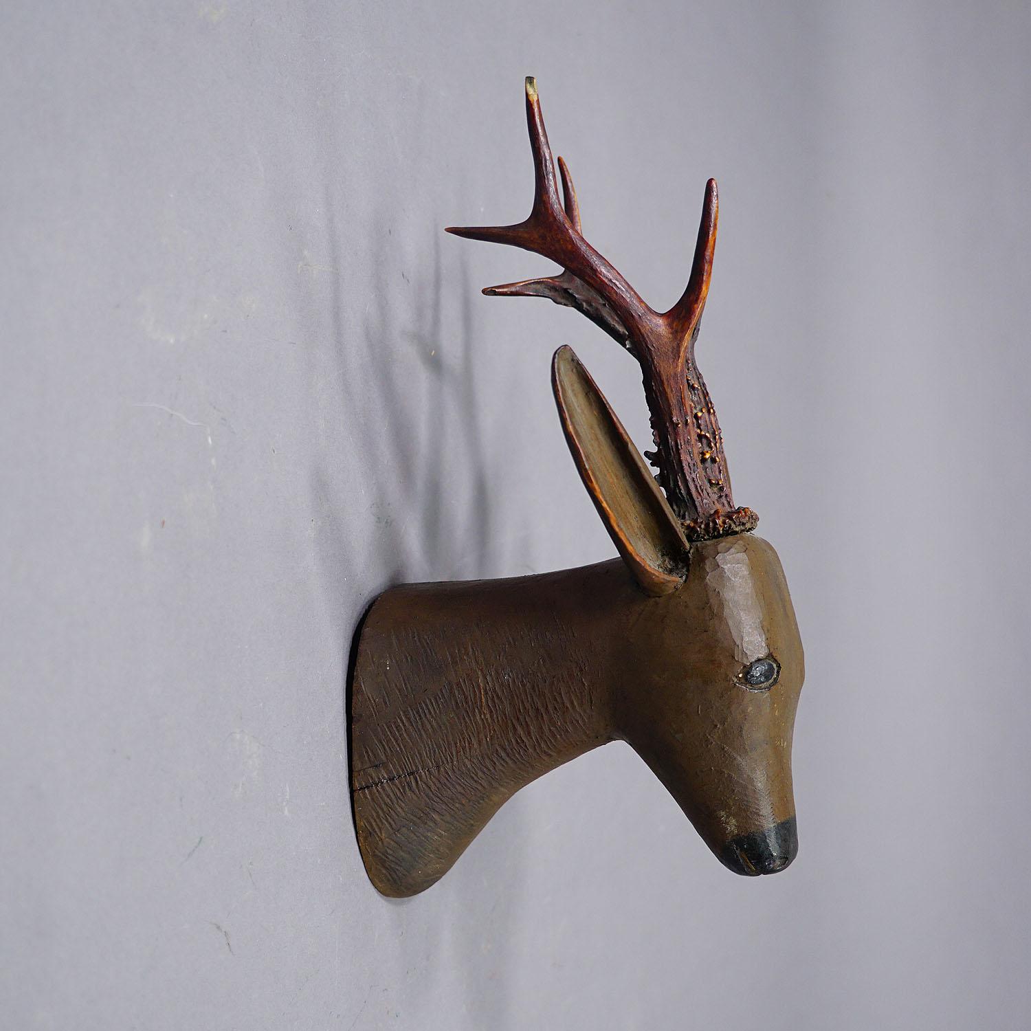 Antique Baroque Black Forest Deer Head Late 18th Century For Sale at ...