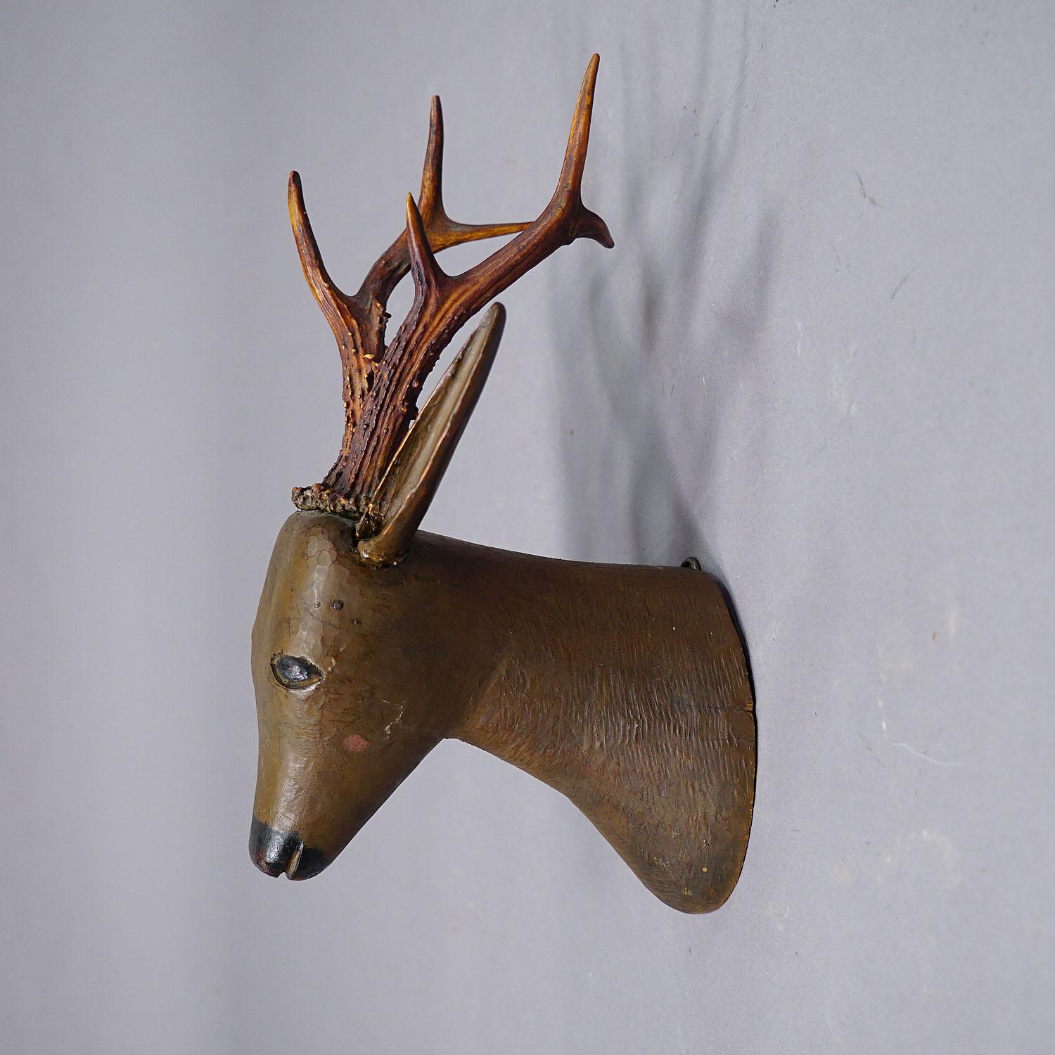 Antique Baroque Black Forest Deer Head Late 18th Century For Sale at ...