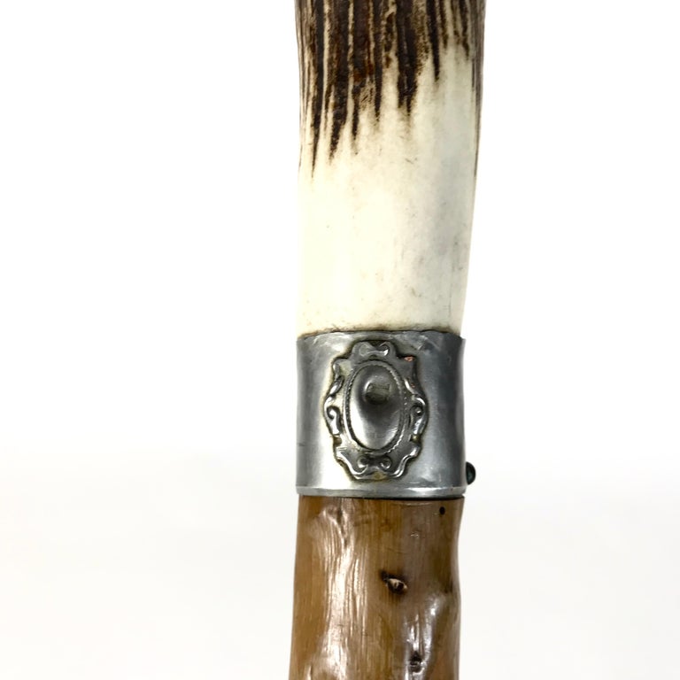 Antique Bavarian Hunting Antler Walking Stick, 1900s, Germany For Sale ...
