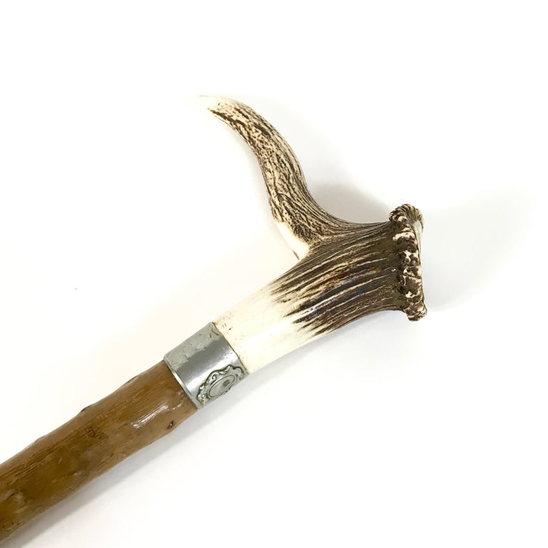 Antique Bavarian Hunting Antler Walking Stick, 1900s, Germany For Sale ...