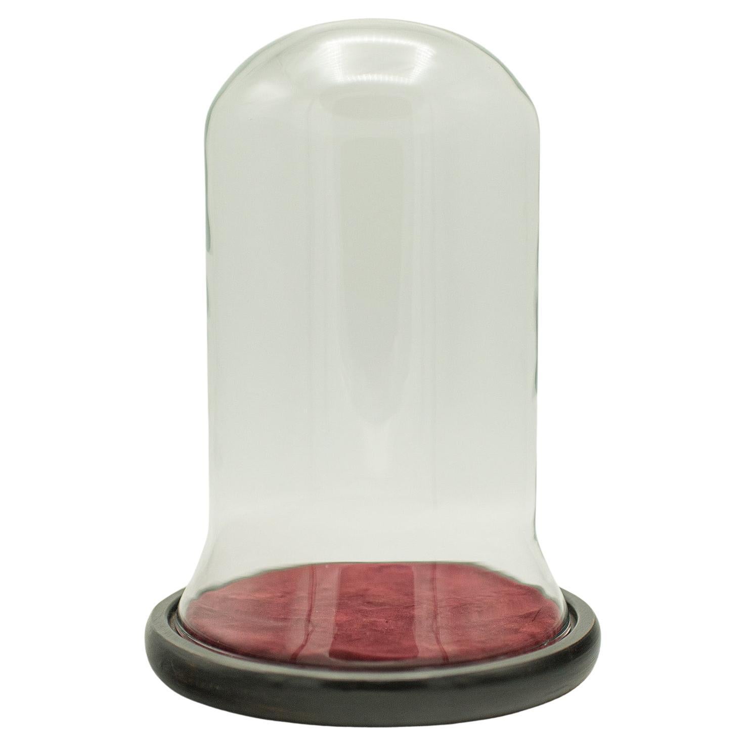 Antique Glass Dome For Sale At 1stdibs Glass Dome For Sale