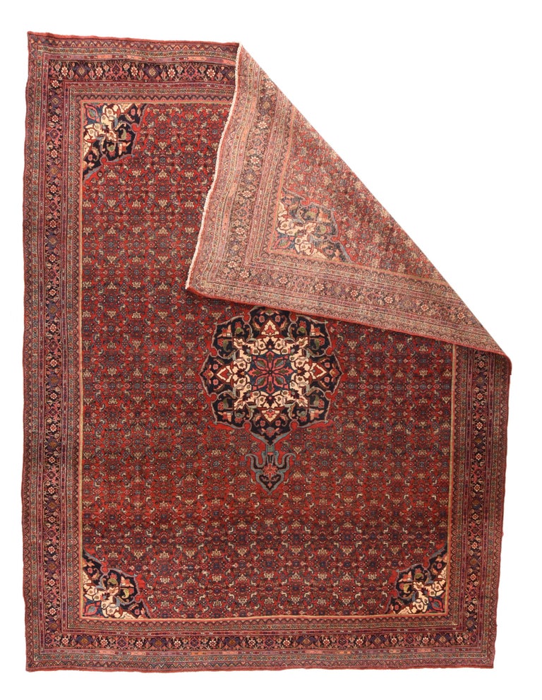 Antique Bijar Rug For Sale at 1stDibs