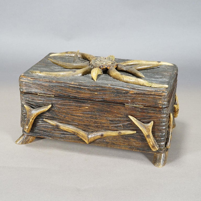 Antique Black Forest Casket with Antlers Decoration circa 1900s at 1stDibs