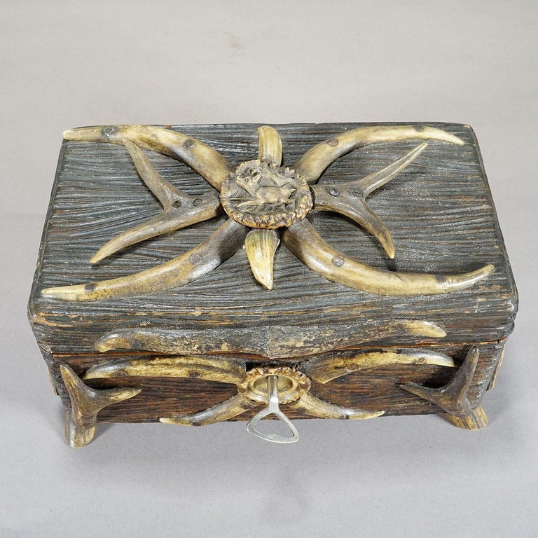 Antique Black Forest Casket with Antlers Decoration circa 1900s at 1stDibs