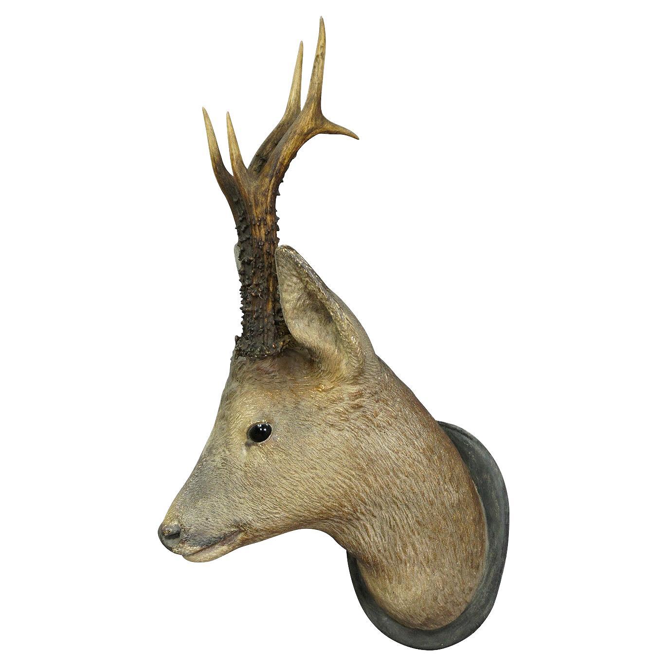 Black Forest Carved Wood Deer Head with Real Antlers, circa 1900 For ...