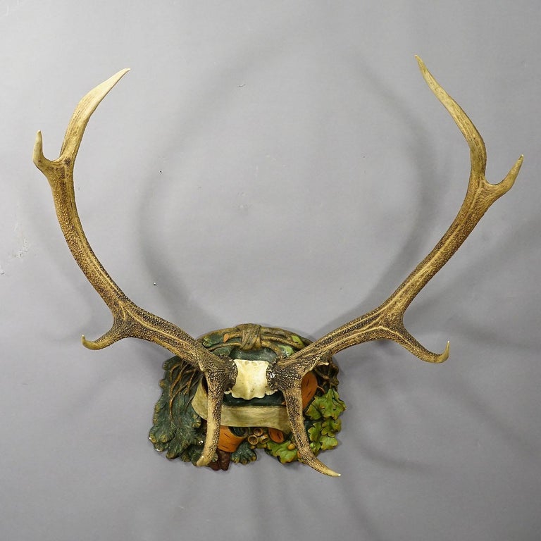 Antique Black Forest Deer Trophy on Reliefed Plaque, Germany, Ca. 1900 ...