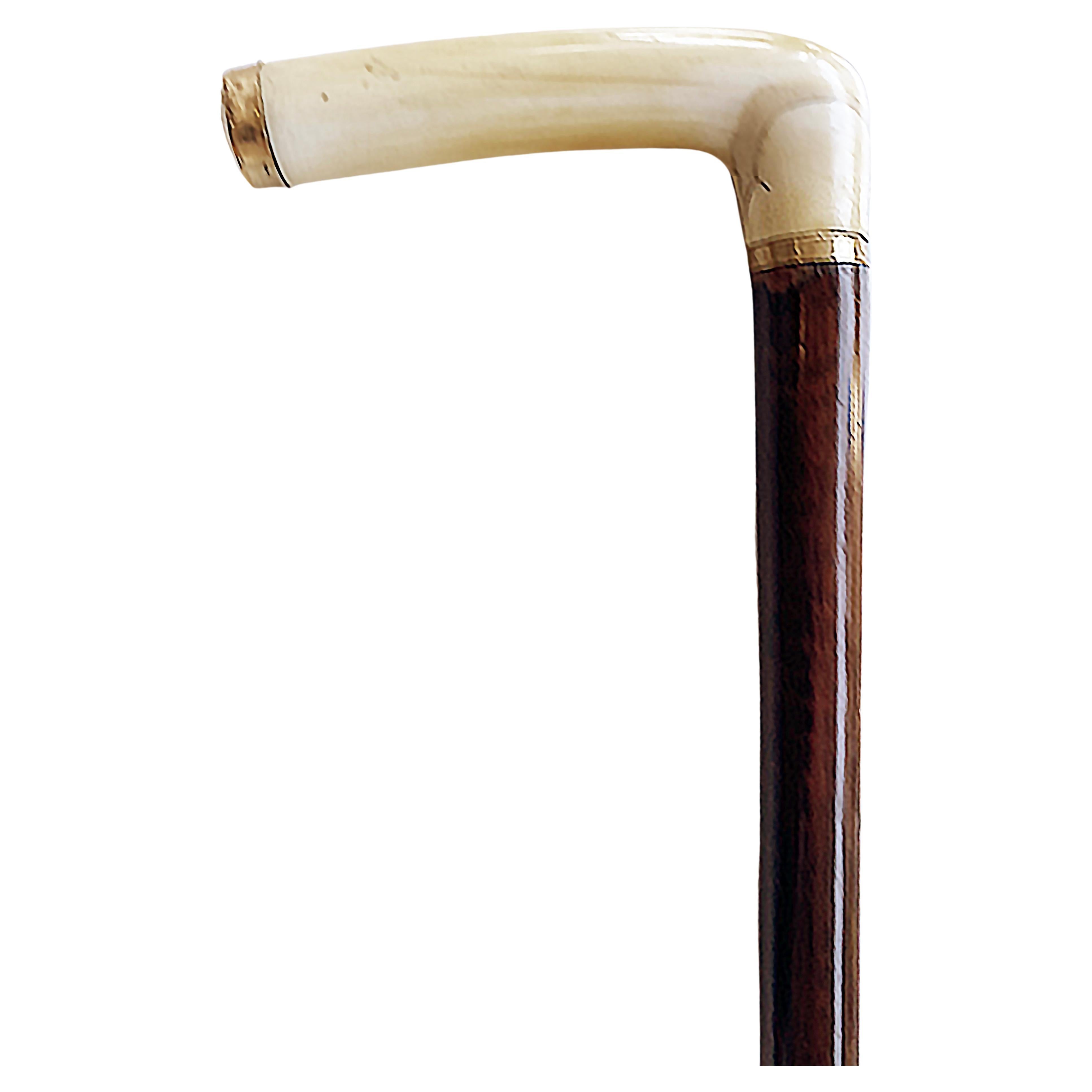 Bamboo and Cane Shooting Stick at 1stDibs