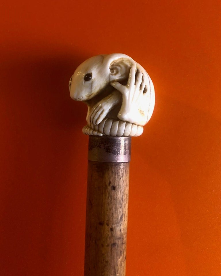 Antique Bone and Sterling Rat / Mouse / Rodent Handle Walking Stick at ...