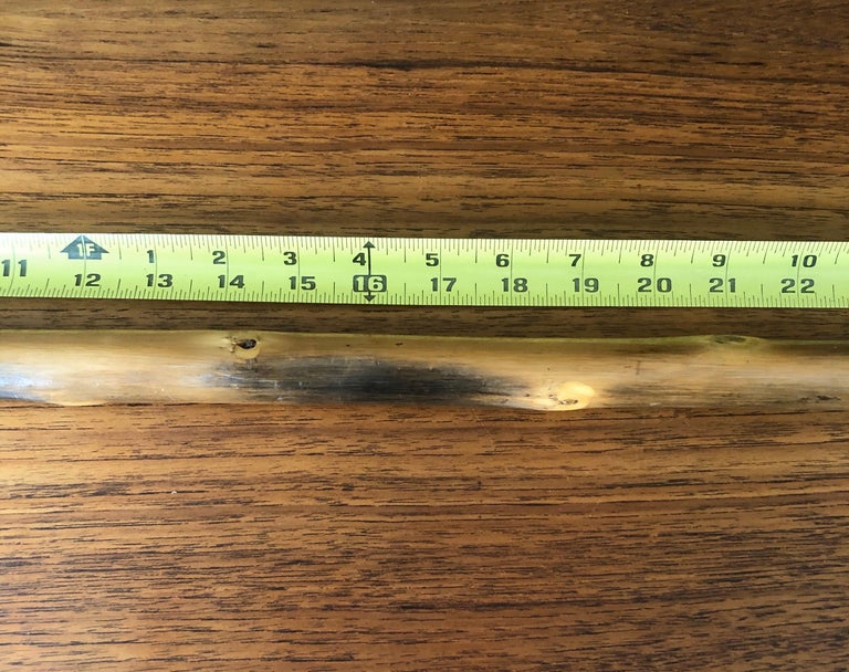 Antique Bone and Sterling Rat / Mouse / Rodent Handle Walking Stick For ...