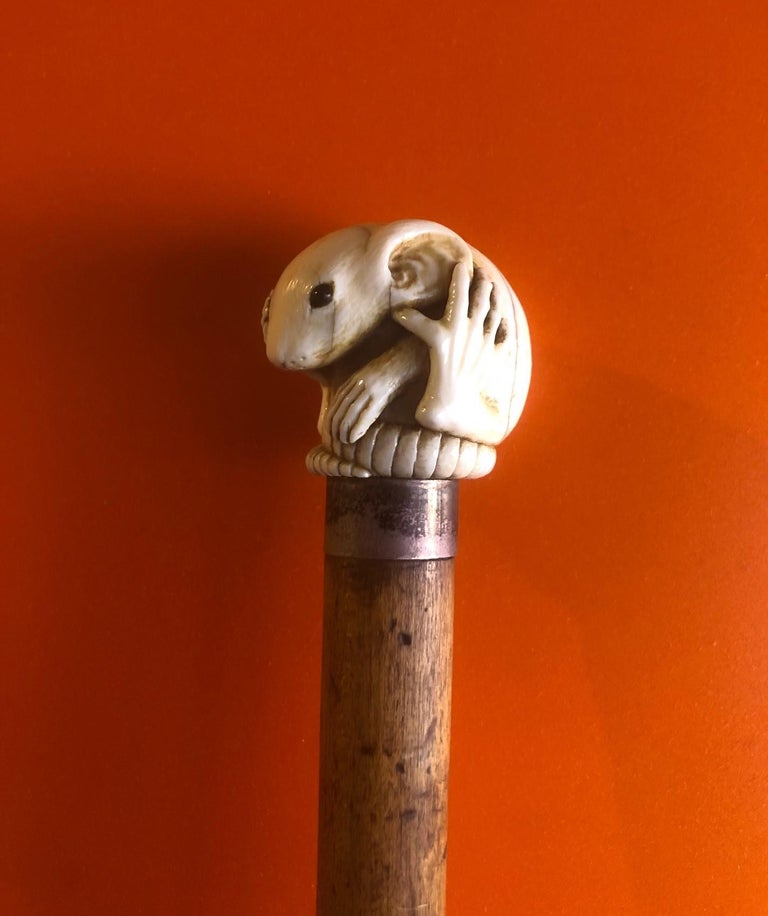 Antique Bone and Sterling Rat / Mouse / Rodent Handle Walking Stick at ...