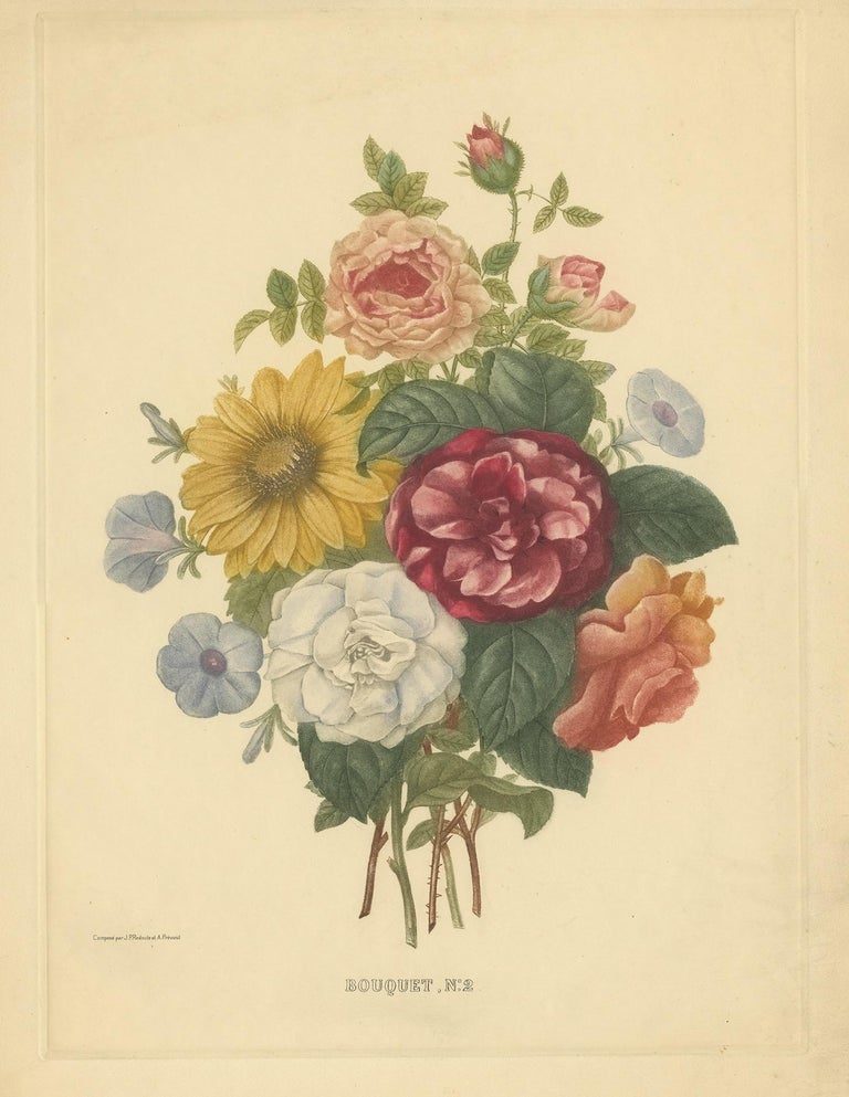 Antique Botany Print of a Bouquet of Various Flowers Made after P.J ...