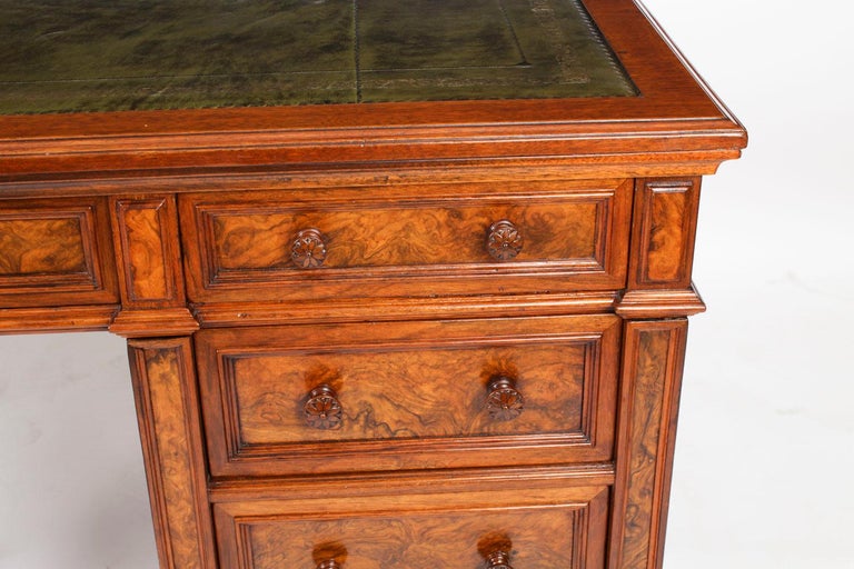 Antique Burr Walnut Pedestal Desk by Gillow and Co 19th Century For ...