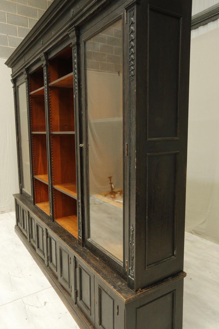 Antique C.1900 Ebonised Library Cabinet For Sale at 1stDibs