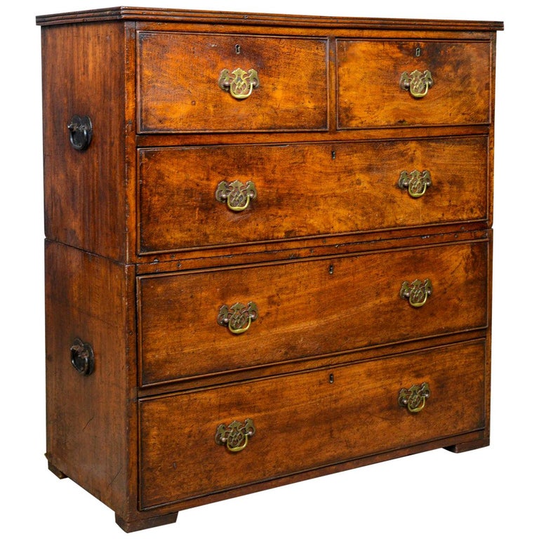 Antique Campaign Chest of Drawers, English, Late Georgian, Walnut ...