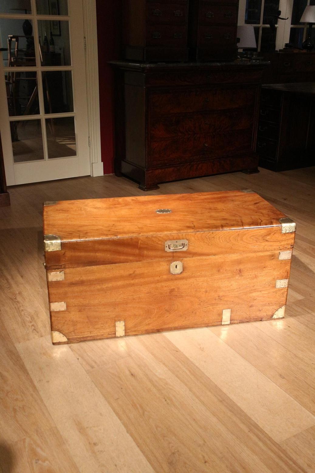 Antique Camphor Wood Box at 1stDibs