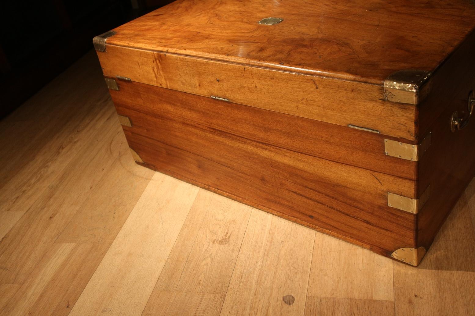 Antique Camphor Wood Box at 1stDibs