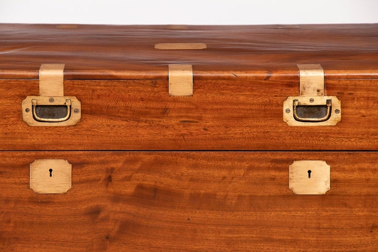 Antique Camphor Wood Military Campaign Trunk, circa 1850 at 1stDibs