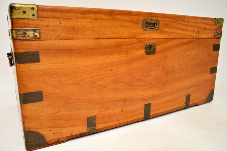 Antique Camphor Wood Military Campaign Trunk at 1stDibs