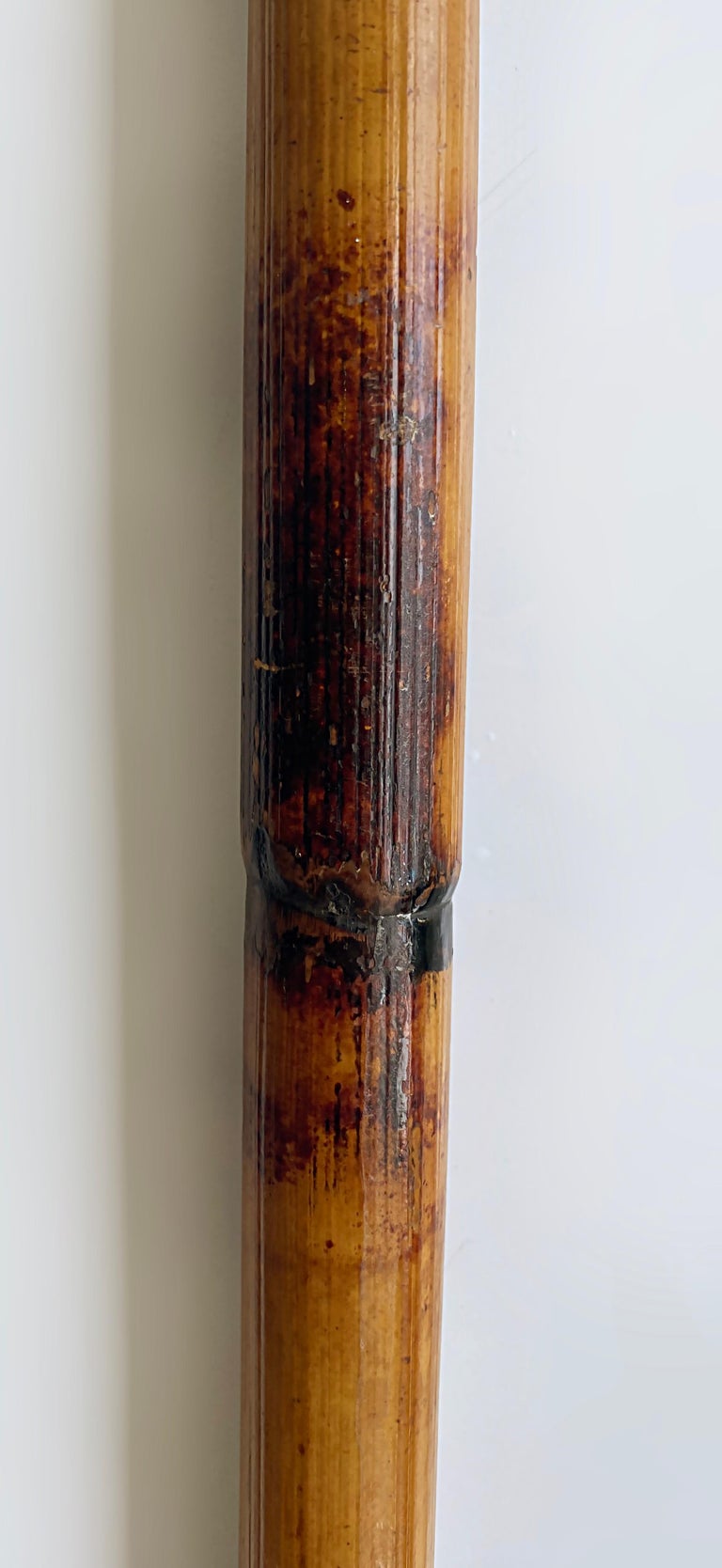 Antique Carved Bone Greyhound Dog Bamboo Walking Stick with Braided ...