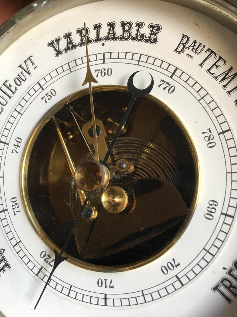 Antique Carved Wood Black Forest Dog Hound Hunt Barometer Bird Coat ...