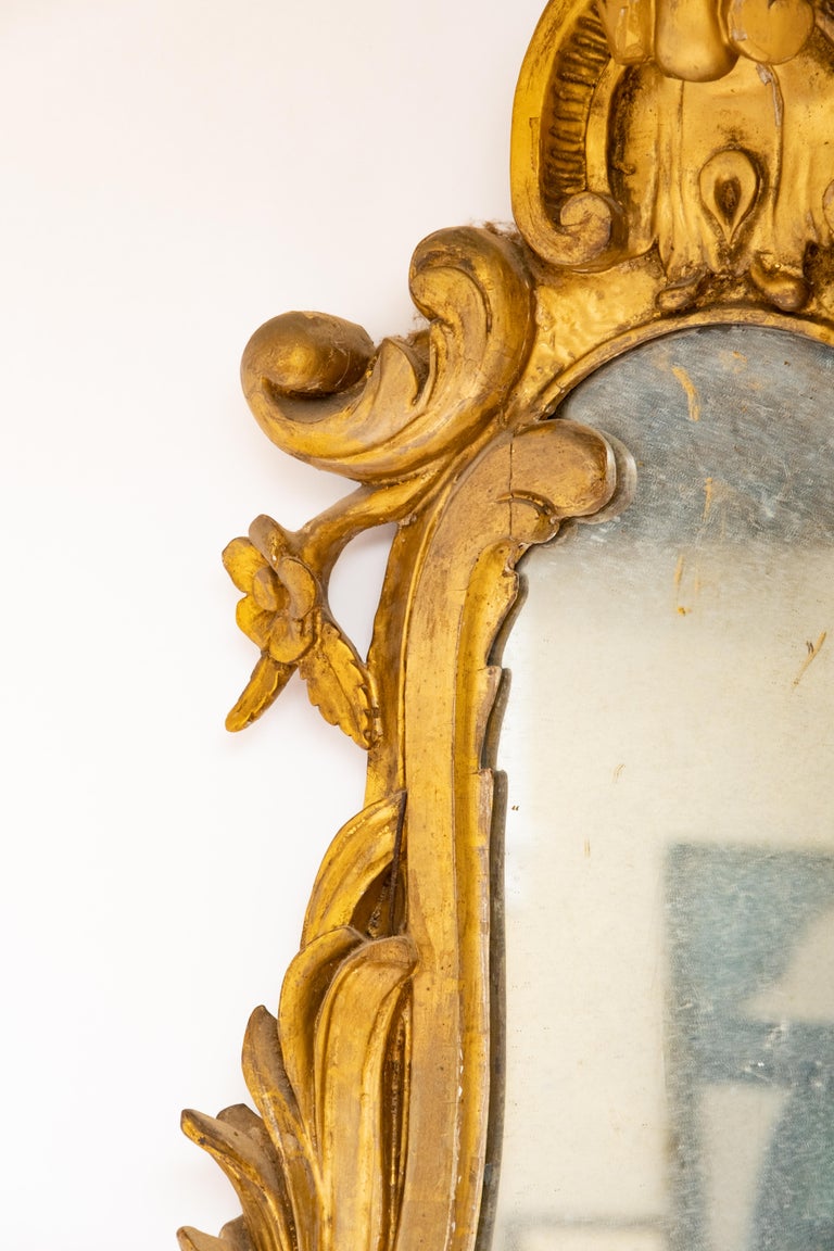 Antique Carved Wood Gilt Finished Mirror, Late 1700s For Sale at 1stDibs