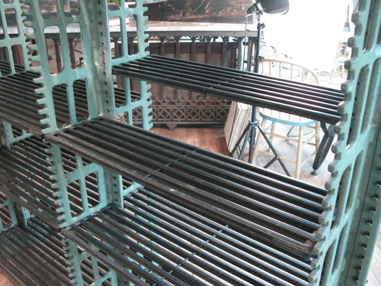 Antique Cast Iron Archival Library Bookcase by Snead at 1stDibs