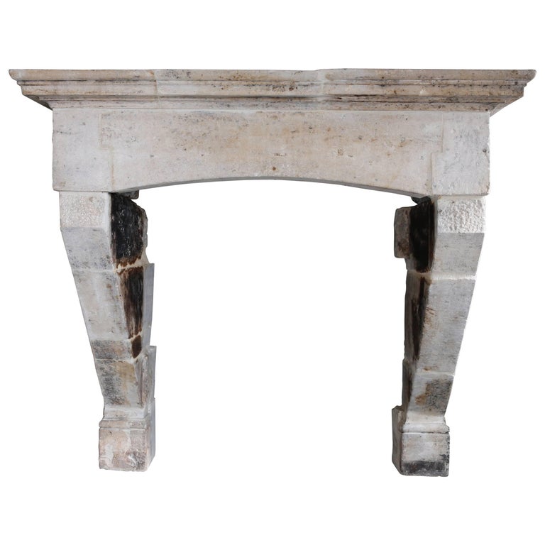Antique Castle Fireplace from the 19th Century For Sale at 1stDibs
