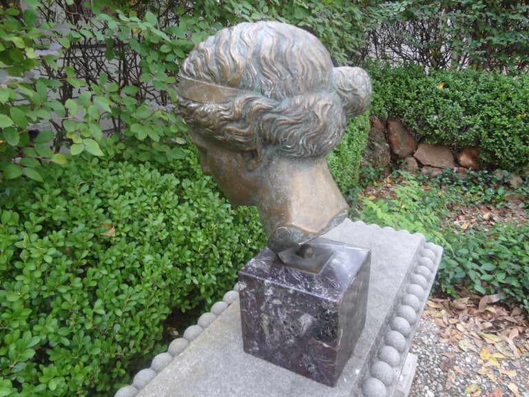 Antique Classical French Bronze Bust on a Marble Base For Sale at 1stDibs