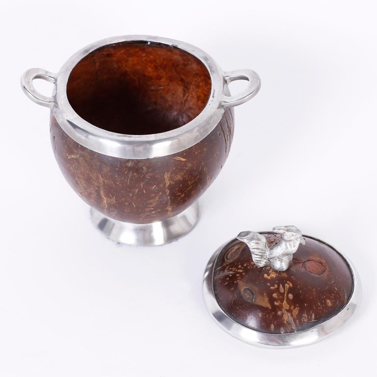 Antique Coconut Lidded Container at 1stDibs
