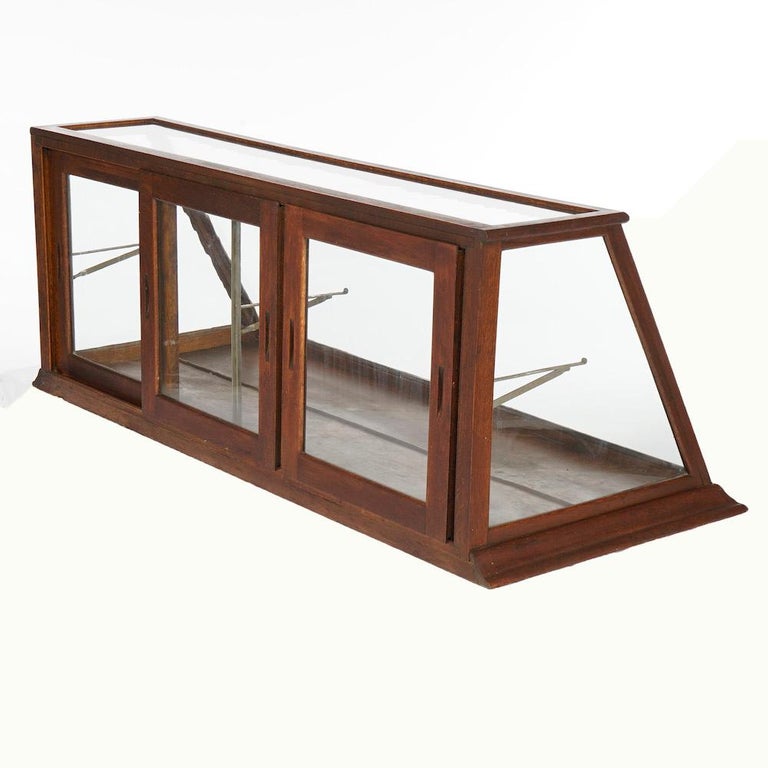 Antique Country Store Oak Table Top Slant-Front Display Case by Sun ...
