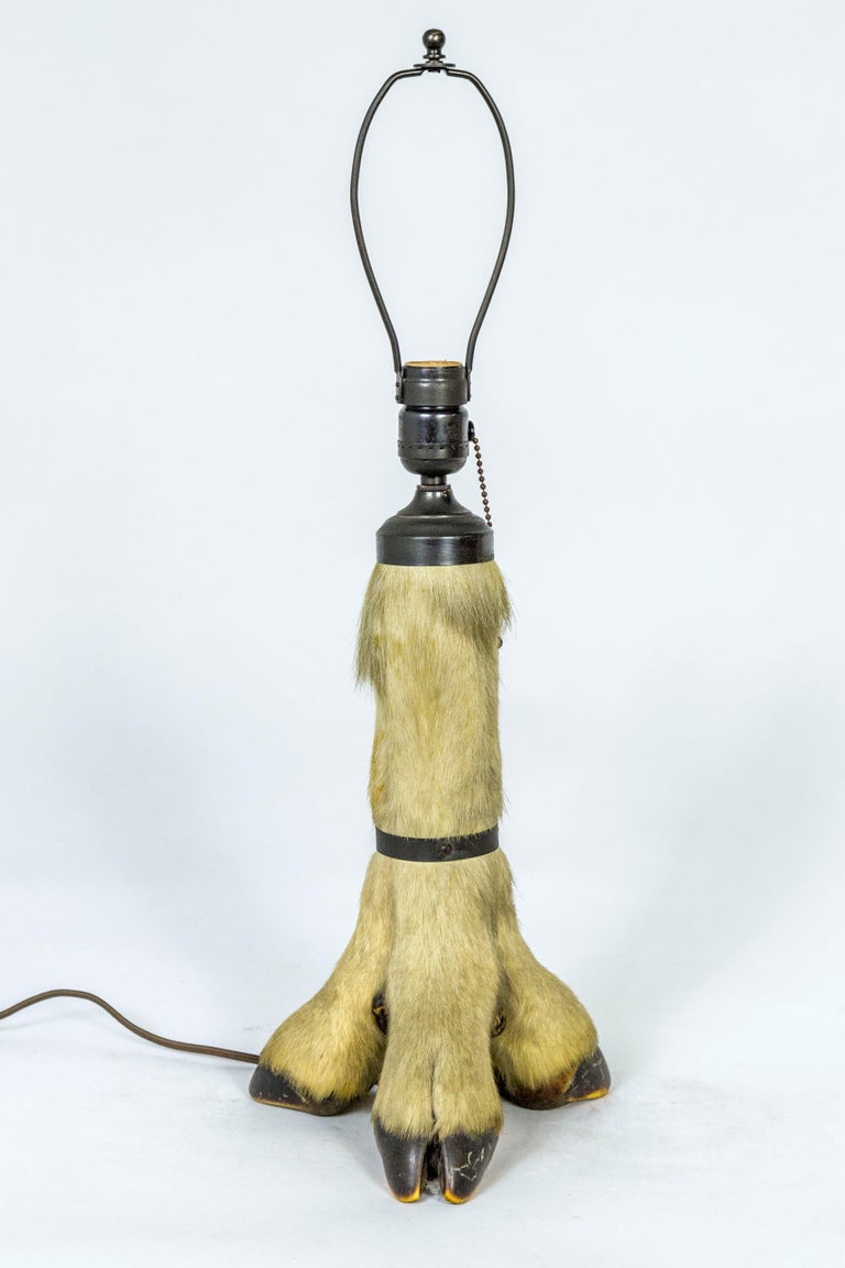 Antique Deer Hoof Table Lamp For Sale at 1stDibs