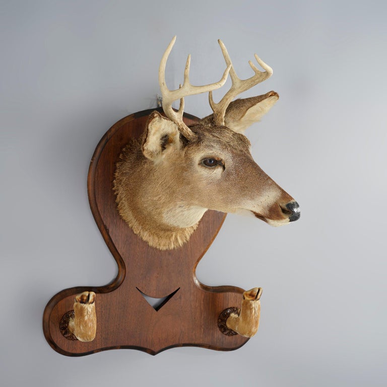 Antique Deer Mount Hall Hat Rack Circa 1930 For Sale at 1stDibs