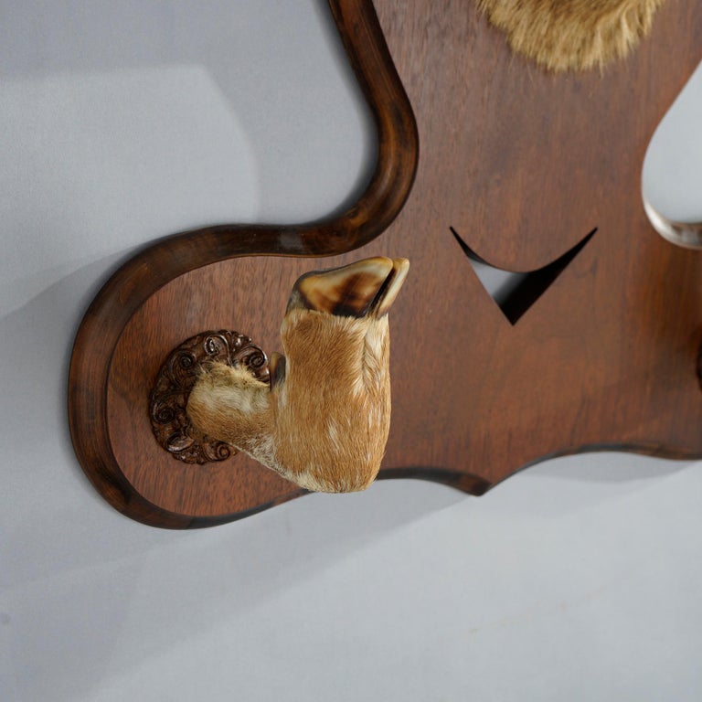 Antique Deer Mount Hall Hat Rack Circa 1930 For Sale at 1stDibs