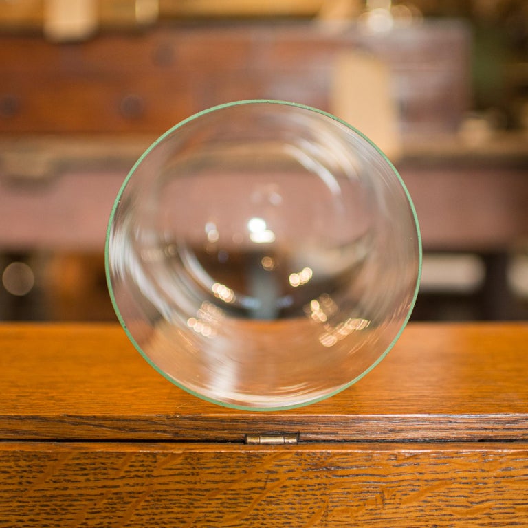 Antique Display Dome, English, Glass, Beech, Taxidermy, Showcase ...