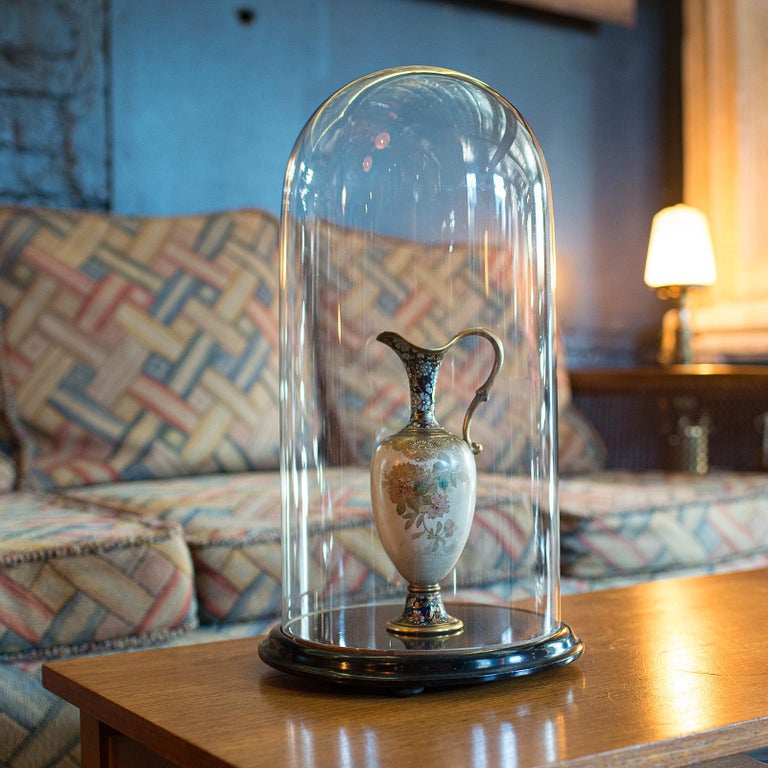 Antique Display Dome, Glass, Taxidermy, Collectibles, Showcase ...