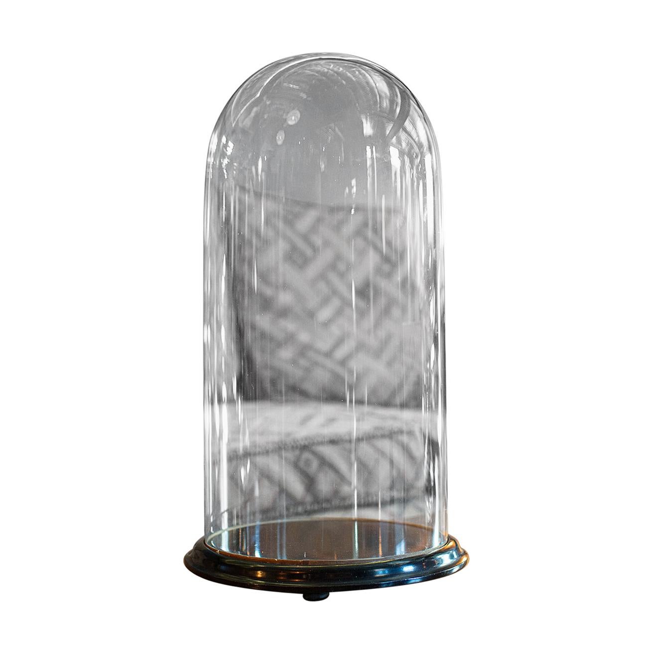 Antique Display Dome, Glass, Taxidermy, Collectibles, Showcase ...