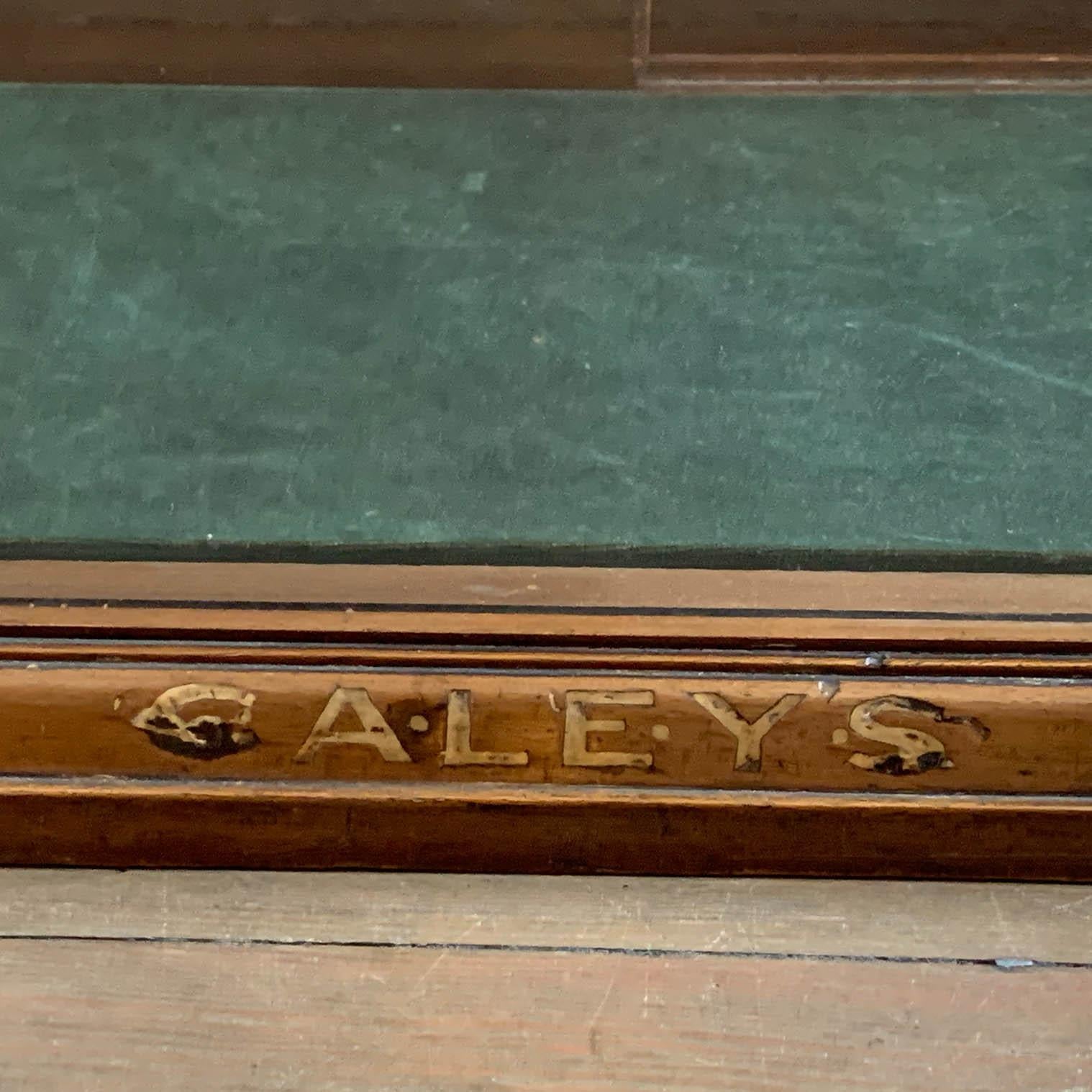 Antique Display Showcase For Sale at 1stDibs