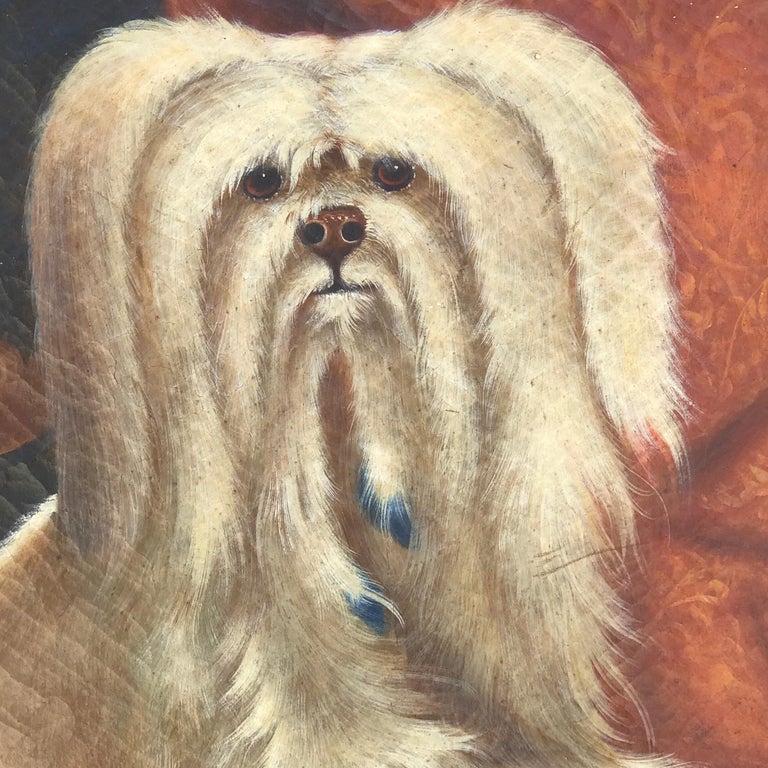 Antique Dog Portrait, Maltese with a Bocce Ball at 1stDibs