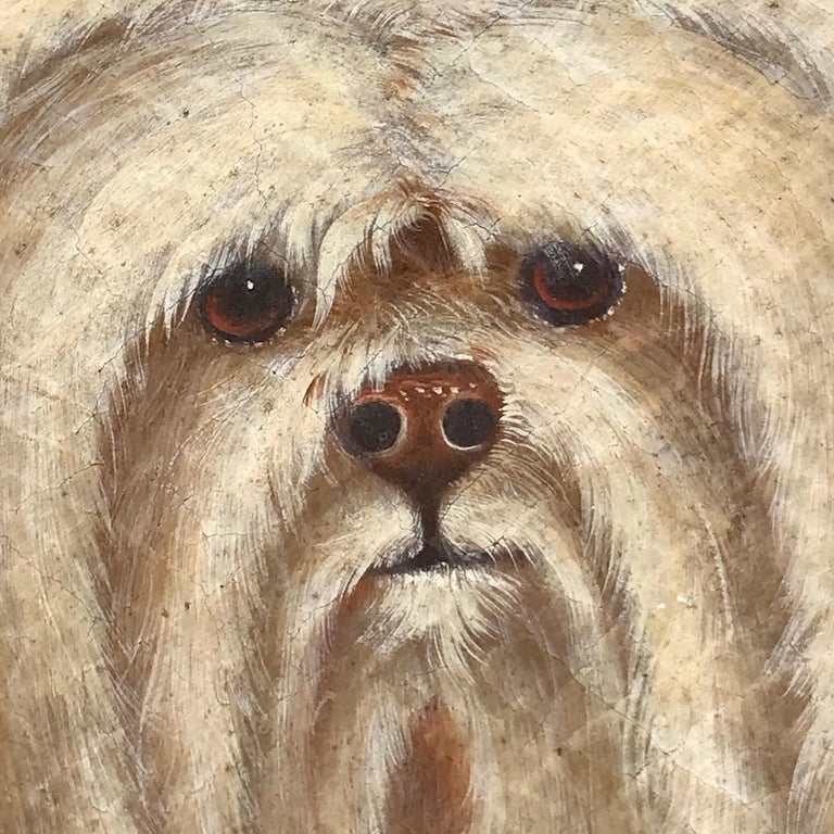 Antique Dog Portrait, Maltese with a Bocce Ball at 1stDibs