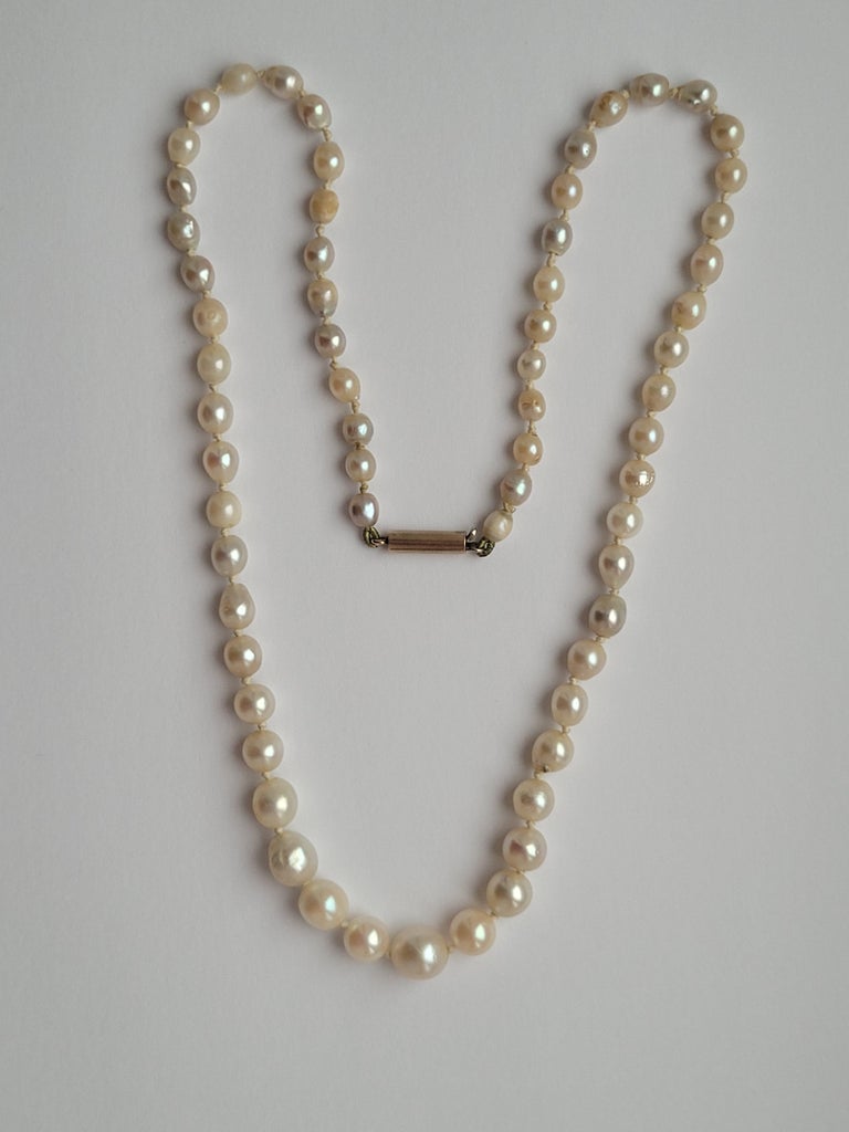 Antique Edwardian Cultured Pearl necklace For Sale at 1stDibs
