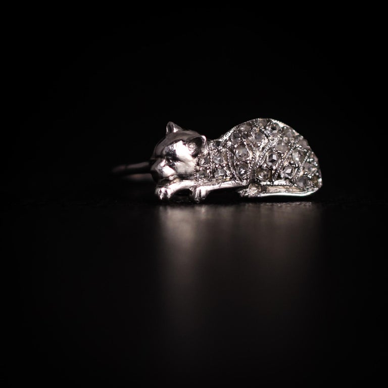 Antique Edwardian Diamond Cat Ring at 1stDibs