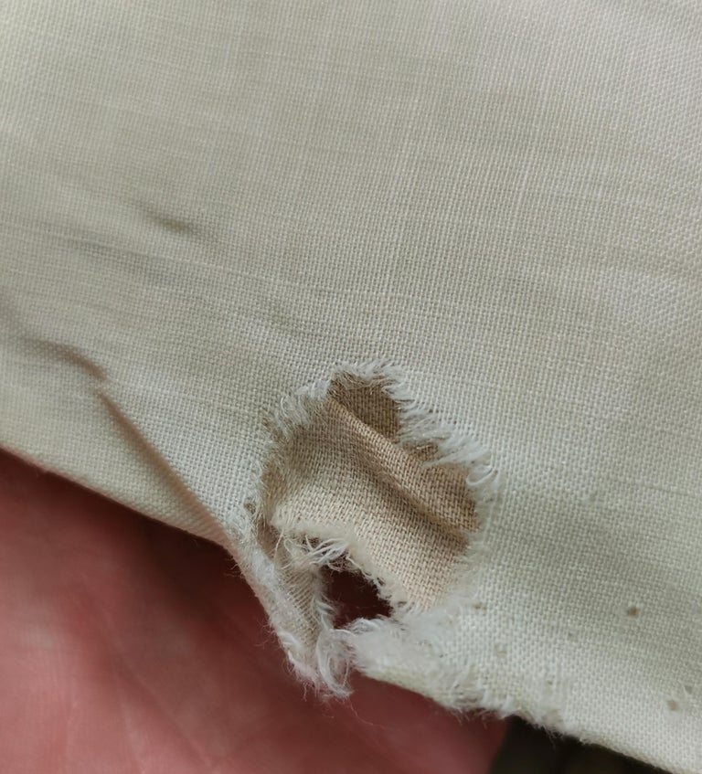 Antique Edwardian two piece walking dress, Pouter pigeon chest For Sale ...